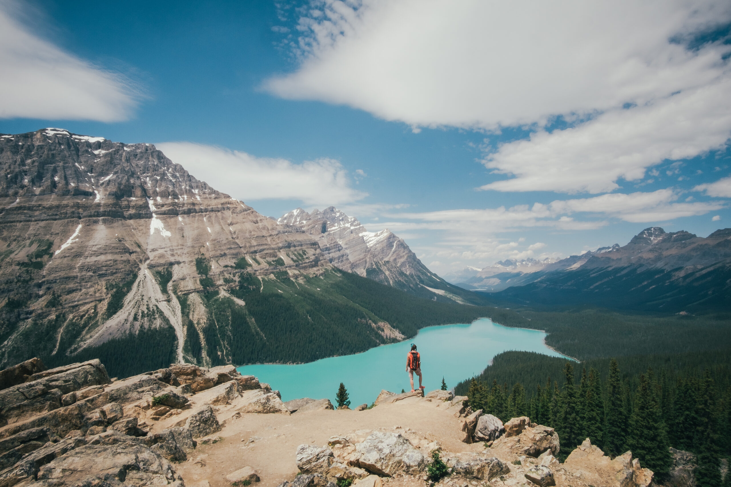 GSW 20th Anniversary - GeoScienceWorld